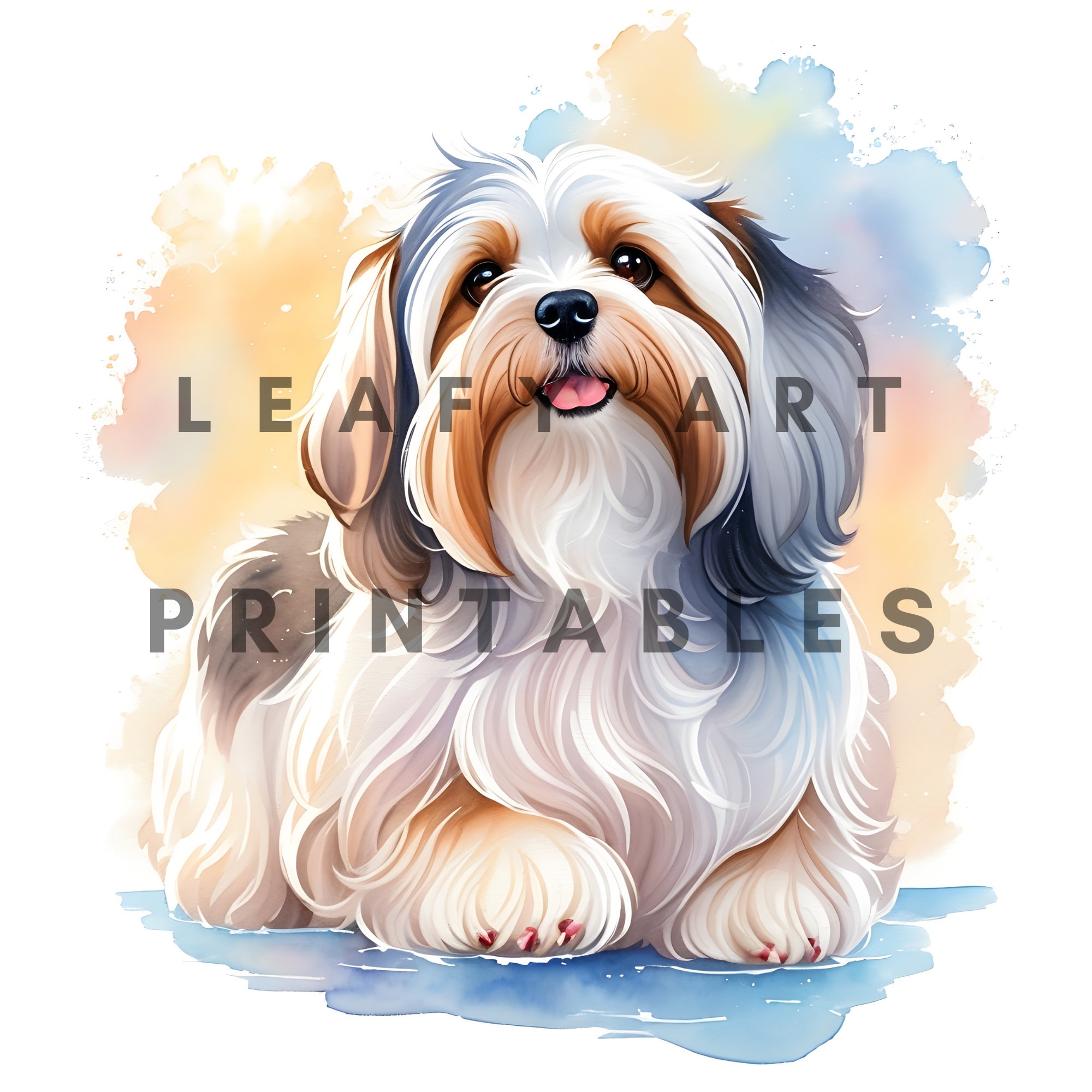 Havanese Dog Clipart Pack - 10 High Quality Jpgs Commercial License ...