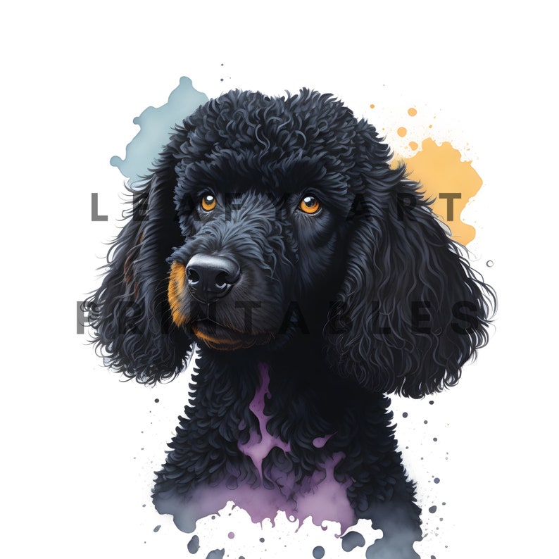 Cute Black Poodle Clipart Pack, 10 High Quality Jpgs, Commercial ...