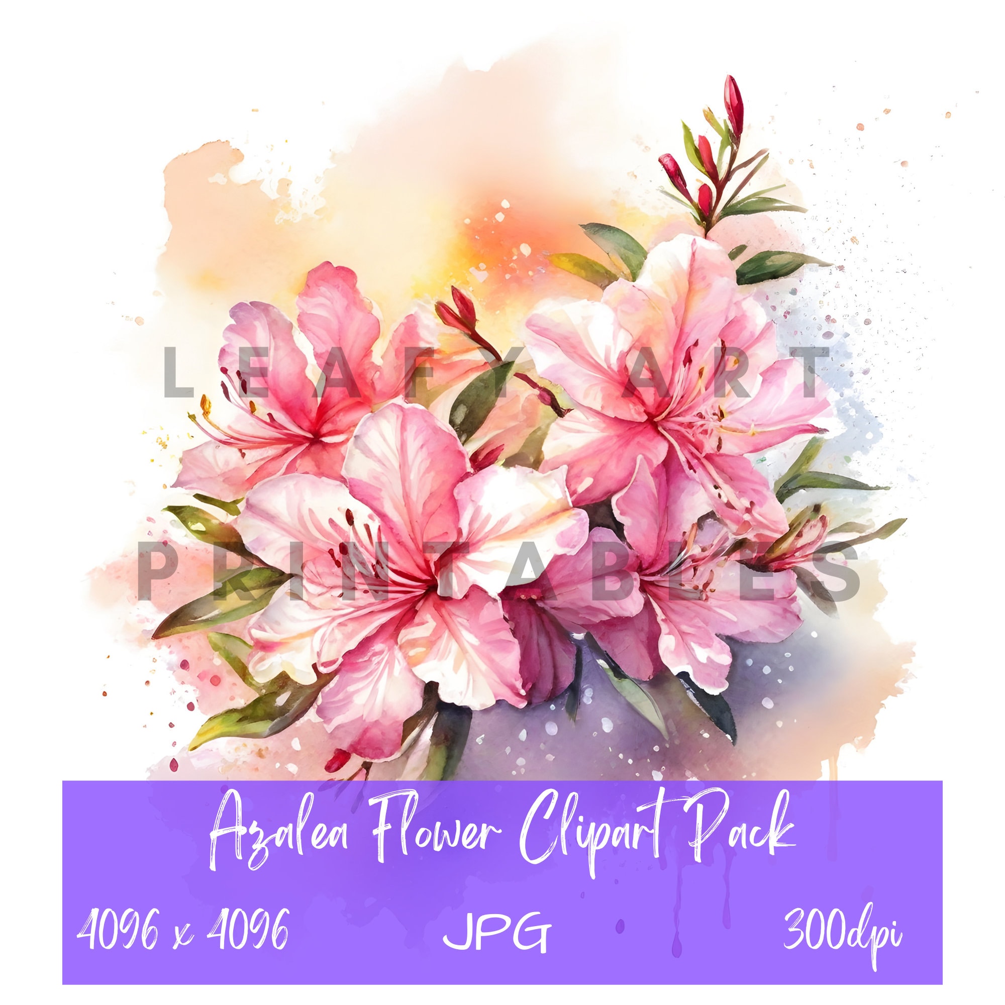 Azalea Flower Clipart Pack, 10 High Quality Jpgs, Commercial License ...