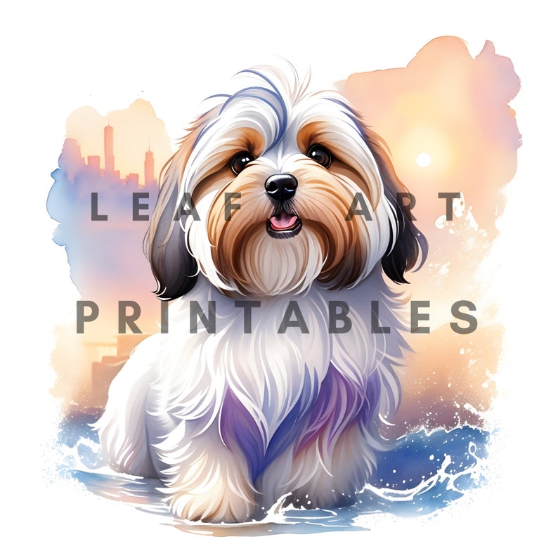 Havanese Dog Clipart Pack - 10 High Quality Jpgs Commercial License ...
