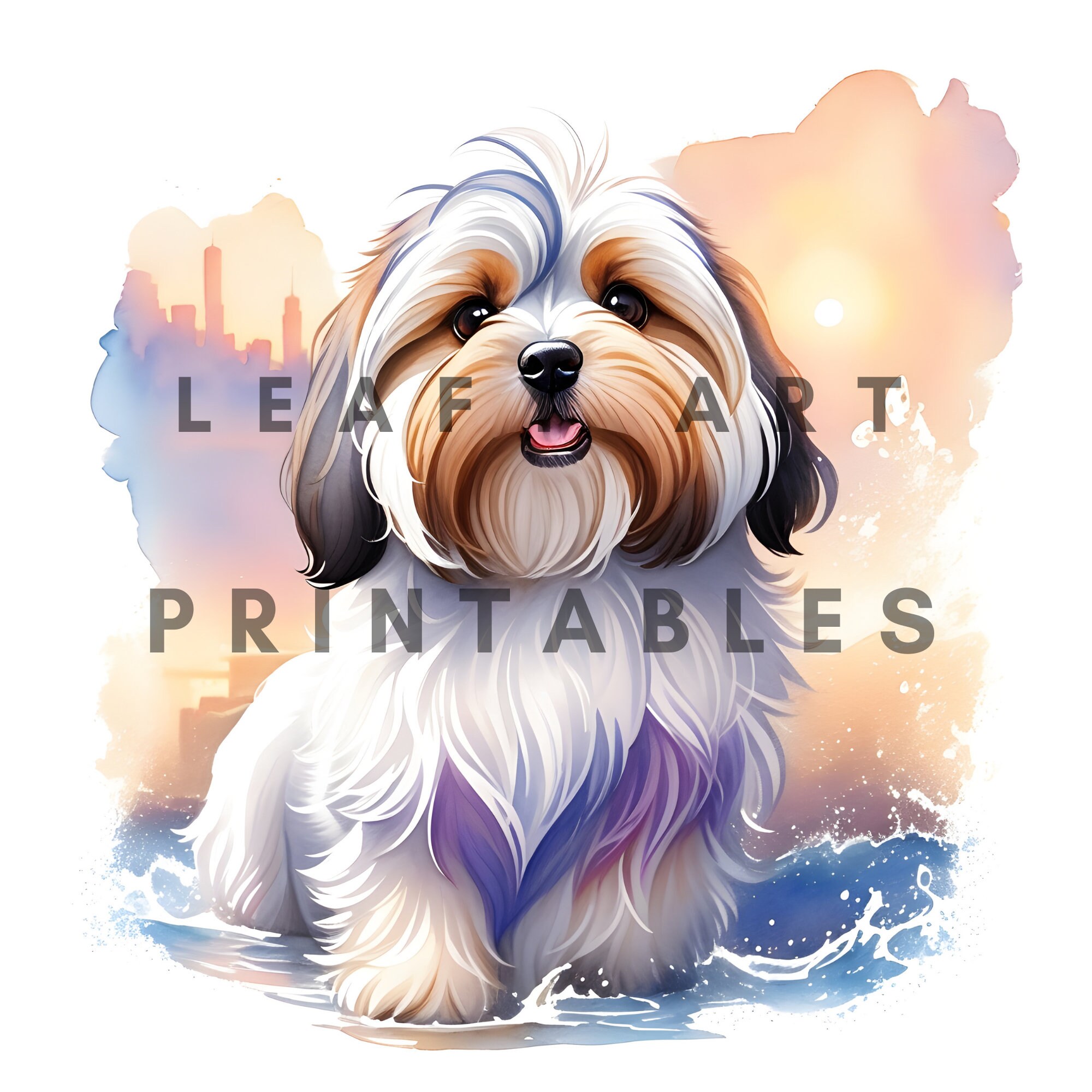 Havanese Dog Clipart Pack - 10 High Quality Jpgs Commercial License ...