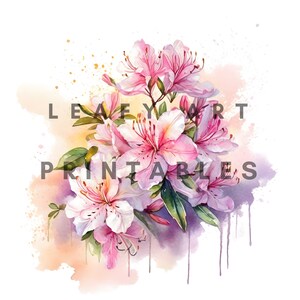 Azalea Flower Clipart Pack, 10 High Quality Jpgs, Commercial License ...