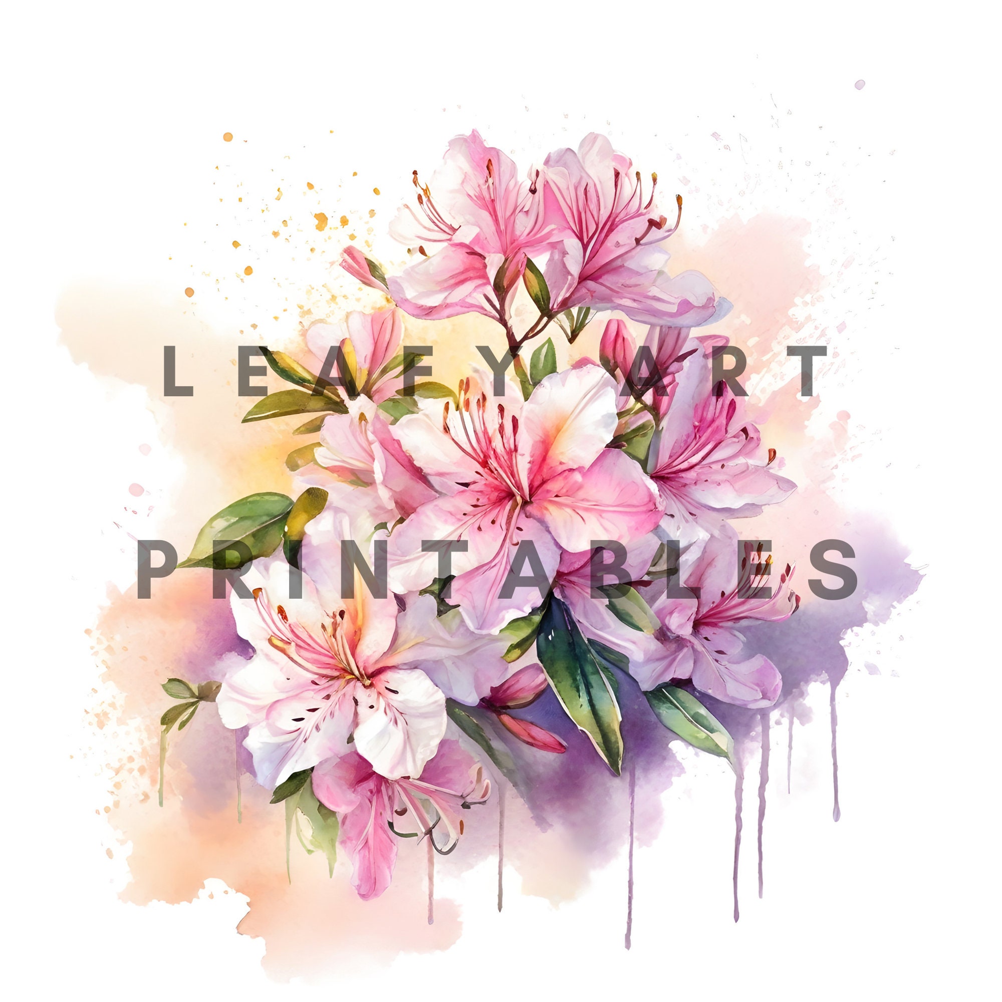 Azalea Flower Clipart Pack, 10 High Quality Jpgs, Commercial License ...