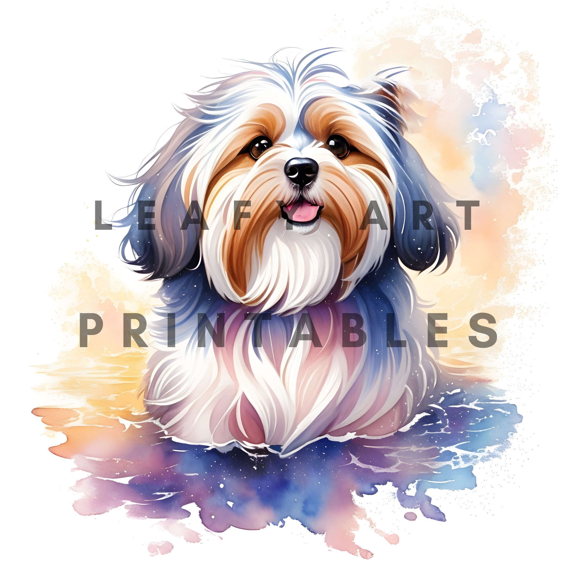Havanese Dog Clipart Pack - 10 High Quality Jpgs Commercial License ...