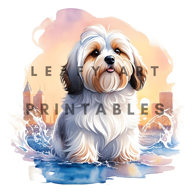 Havanese Dog Clipart Pack - 10 High Quality Jpgs Commercial License ...