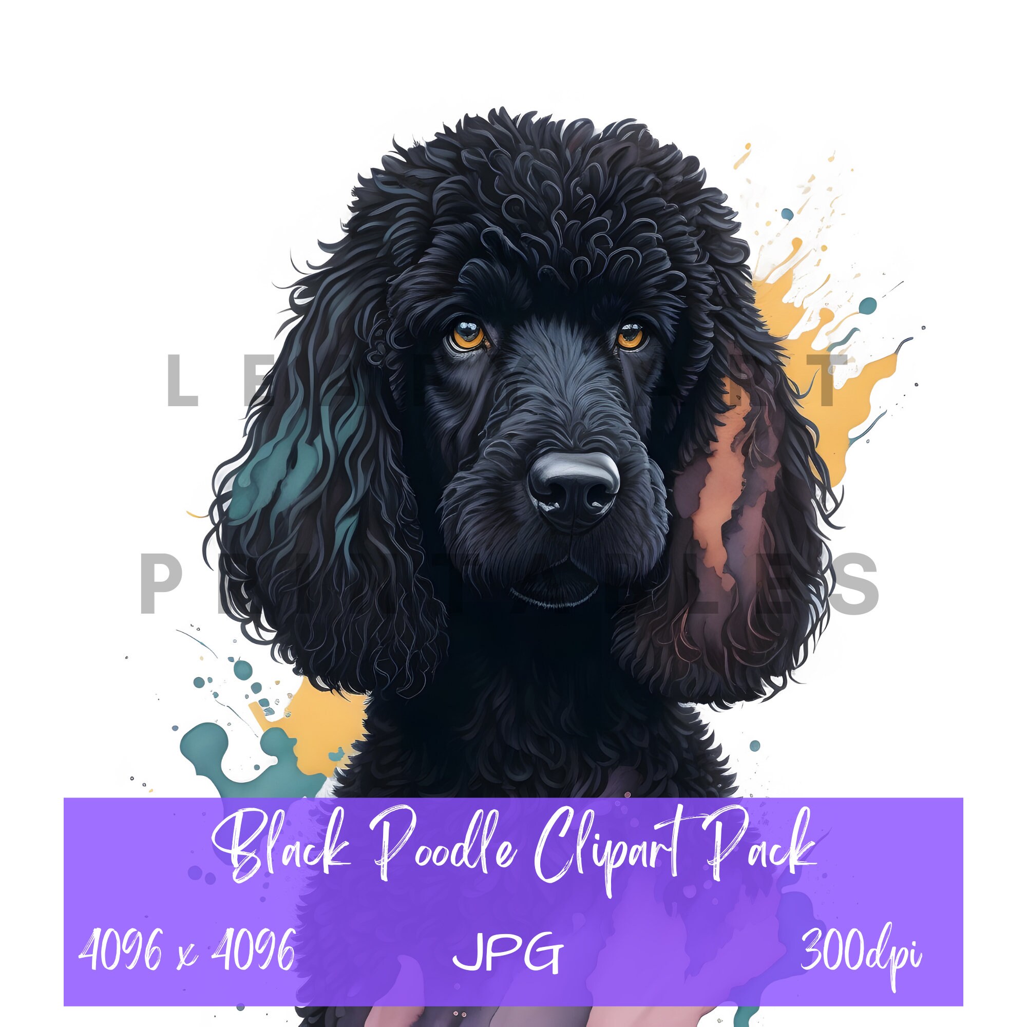 Cute Black Poodle Clipart Pack, 10 High Quality Jpgs, Commercial ...