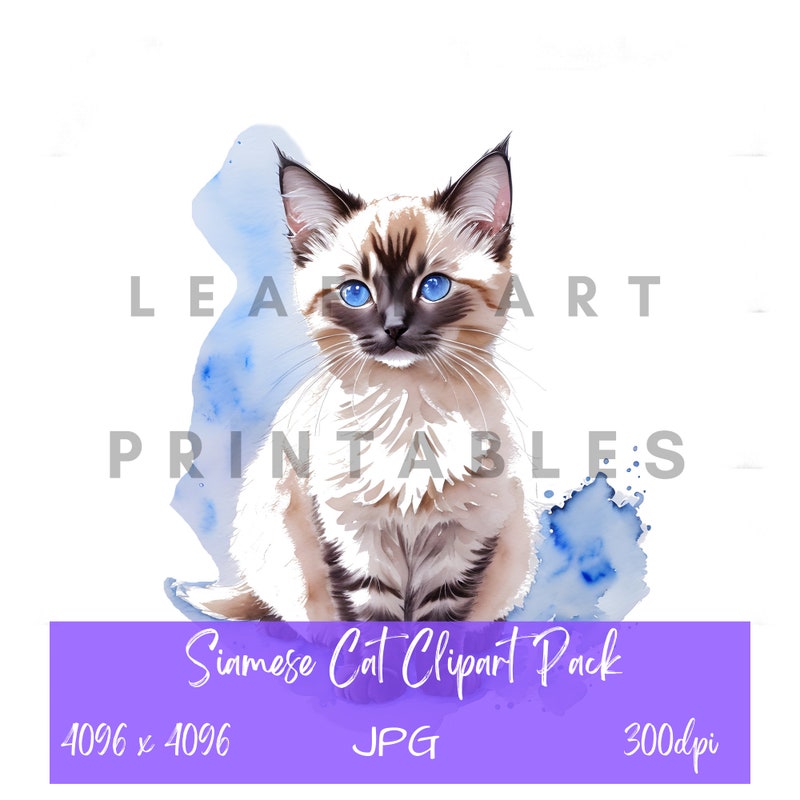 Siamese Cat Art - Etsy