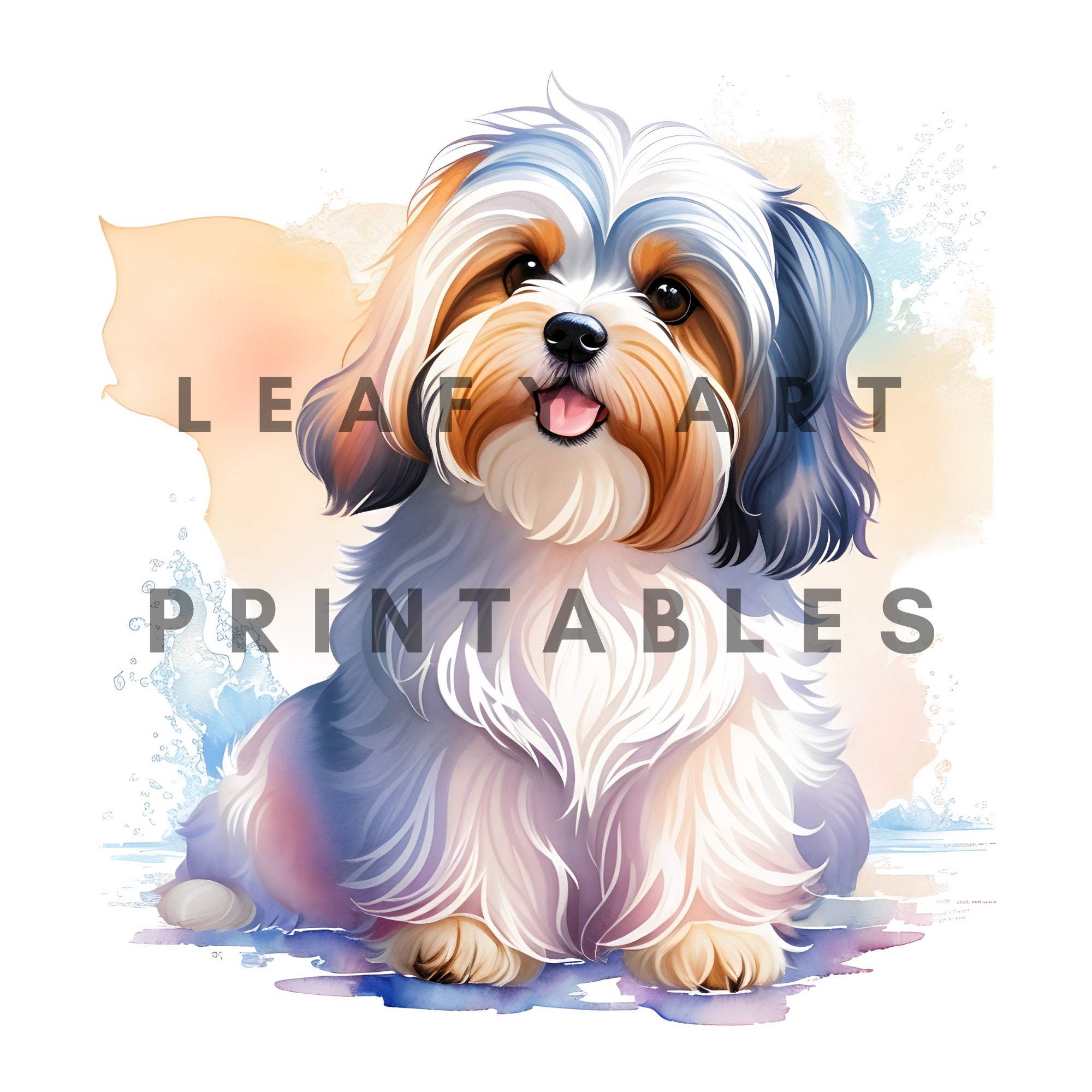Havanese Dog Clipart Pack - 10 High Quality Jpgs Commercial License ...