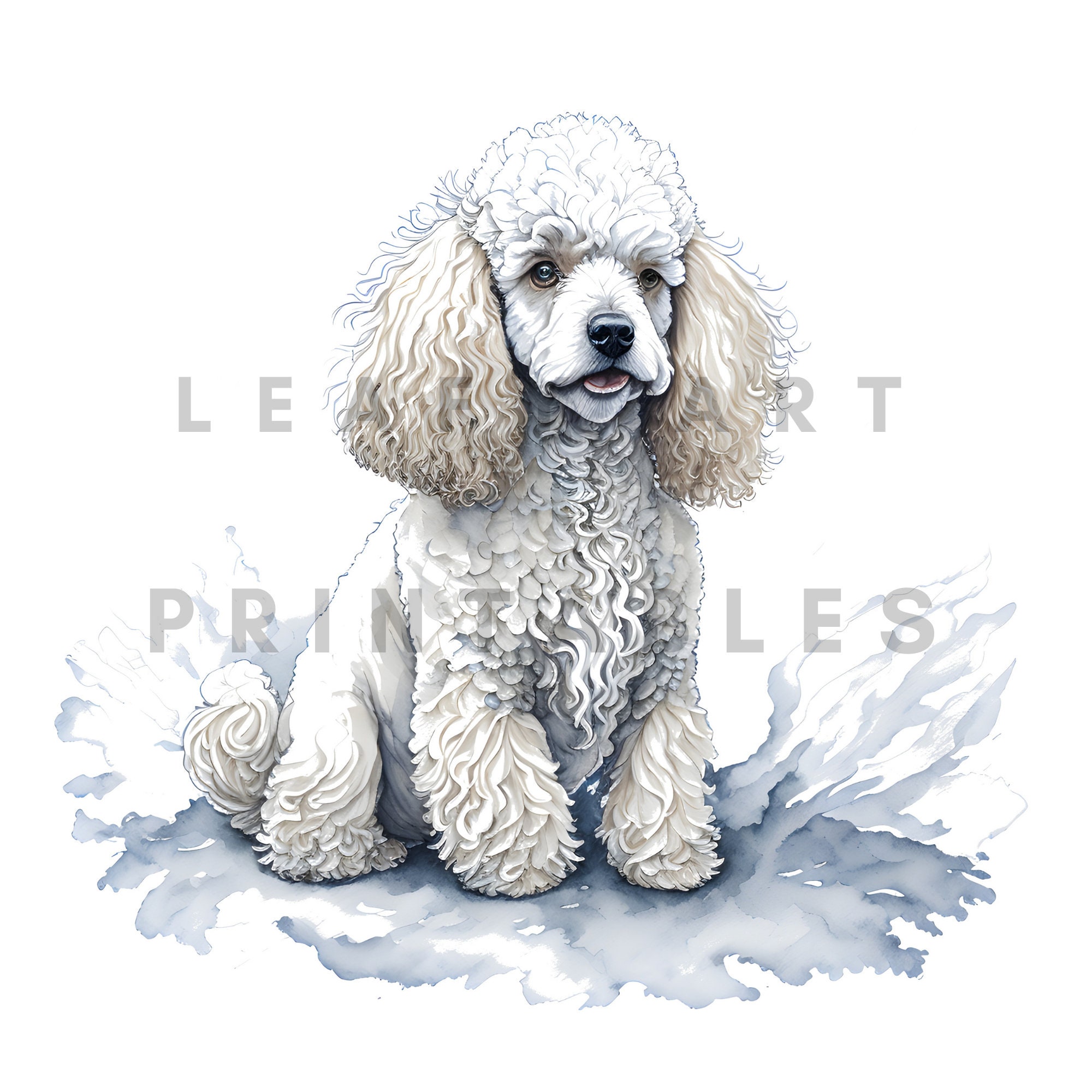 White Poodle Clipart Pack, 10 High Quality Jpgs, Card Making, Instant ...