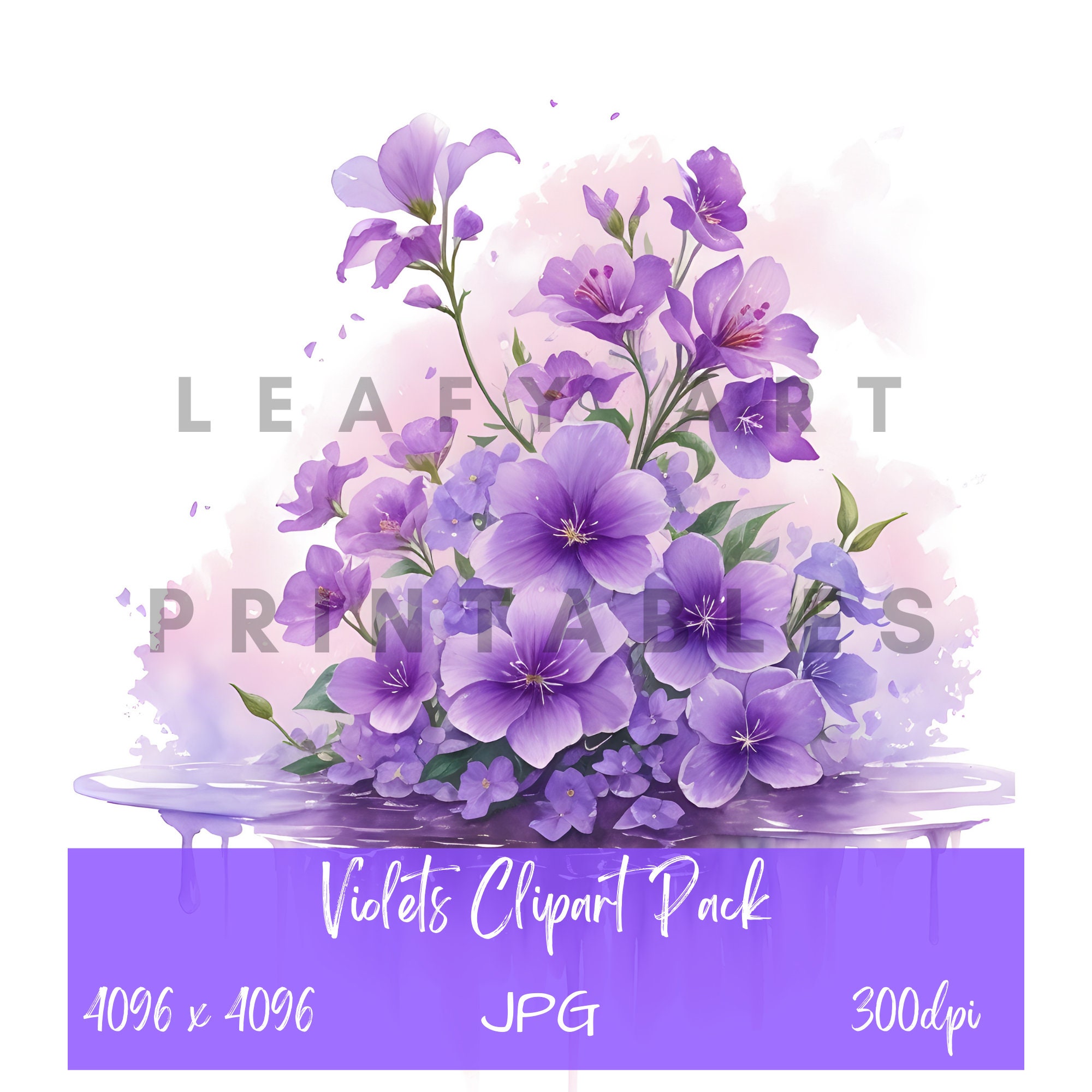 Clipart Violet