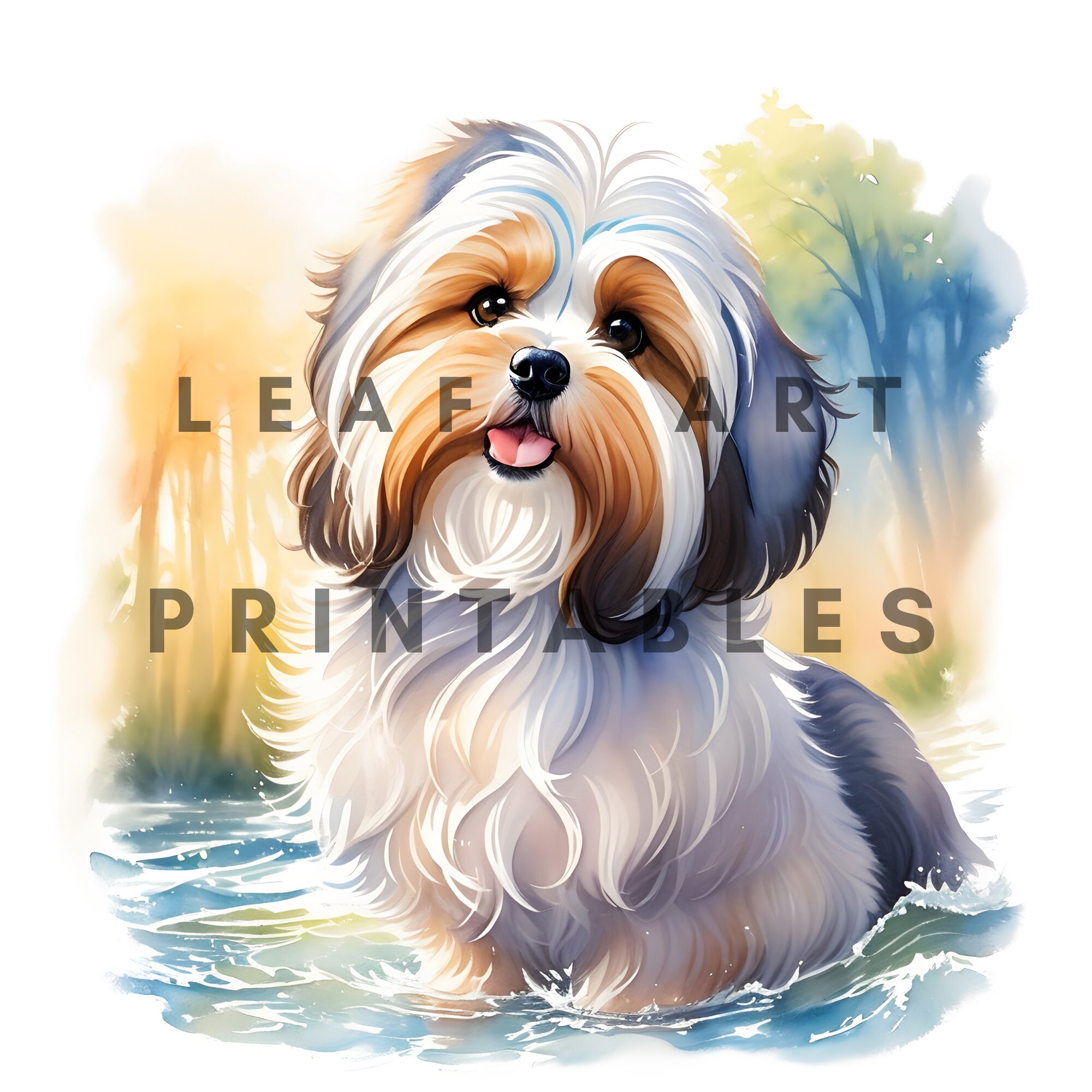 Havanese Dog Clipart Pack - 10 High Quality Jpgs Commercial License ...