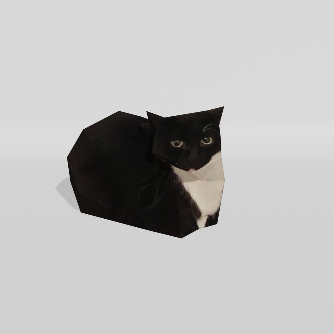 Papercraft Maxwell the Cat Meme Printable PDF - Etsy Israel