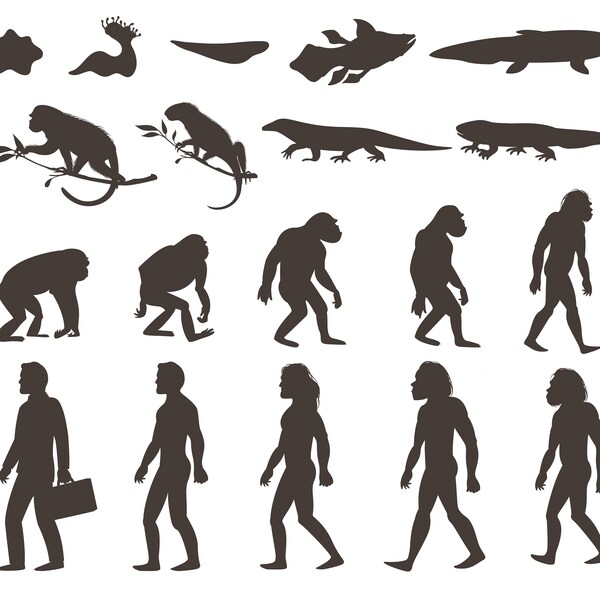 Charles Darwin - Etsy