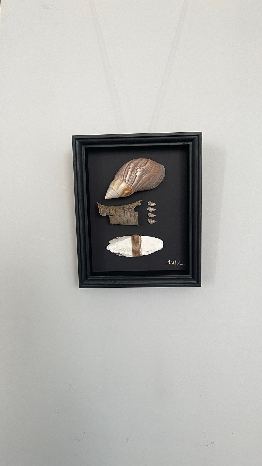 Picture of Varied Sea Shells Bird Feathers and Wood From the - Etsy