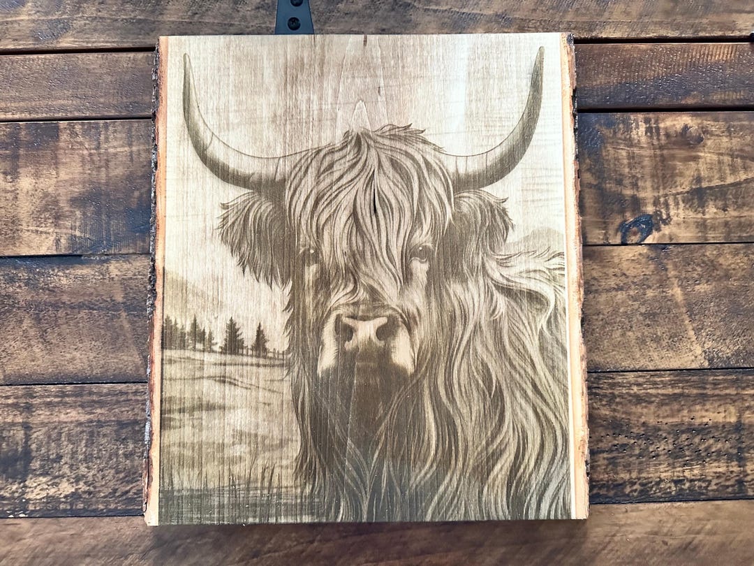 Highland Cow Sign. - Etsy