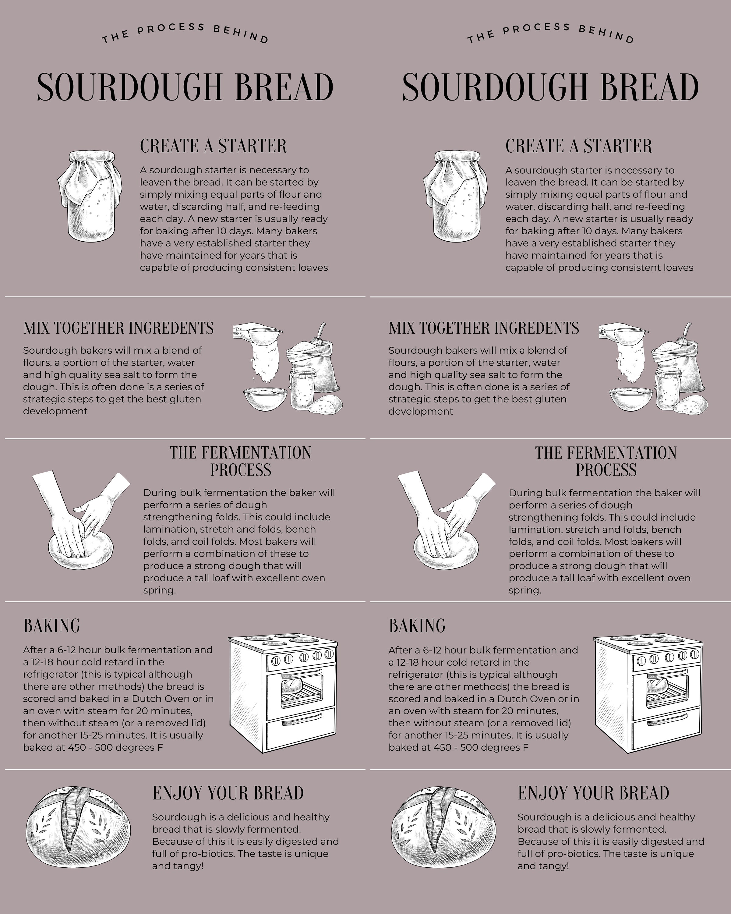 Sourdough Bread Infographic, Baking Process of Sourdough, Sourdough ...
