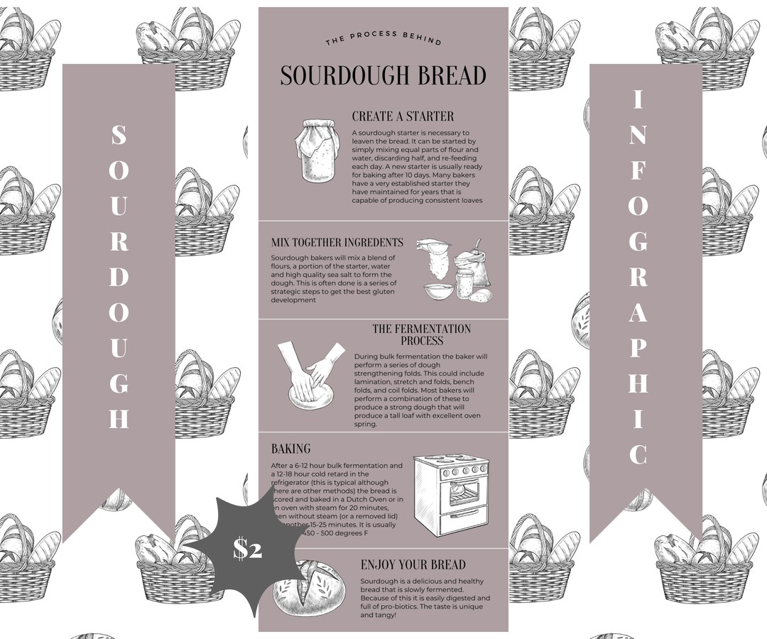 Sourdough Bread Infographic, Baking Process of Sourdough, Sourdough ...