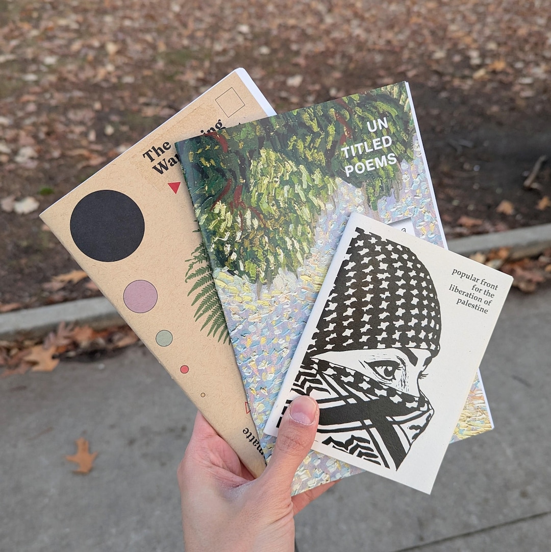 3 Assorted Queer/leftist Zines for the Price of 1 | Leftover Zines Bundle - Etsy