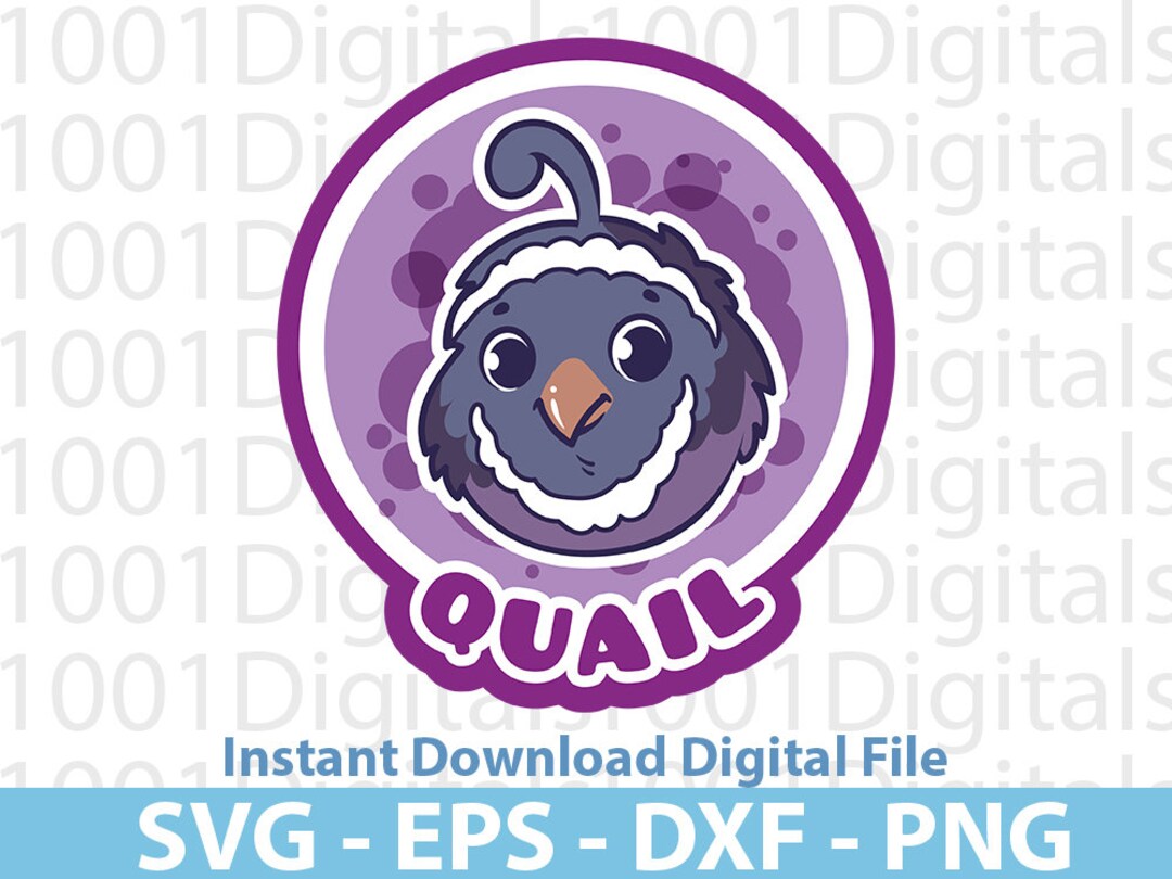 Quail Svg, Quail Svg for Kids, Quail Animal Svg, Cute Animal Quail Svg ...