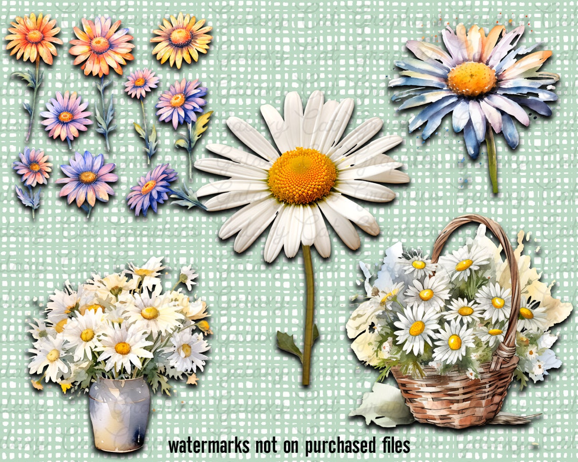 Daisies Clipart, Daisy Clip Art, Floral Clipart Graphics, Flowers ...