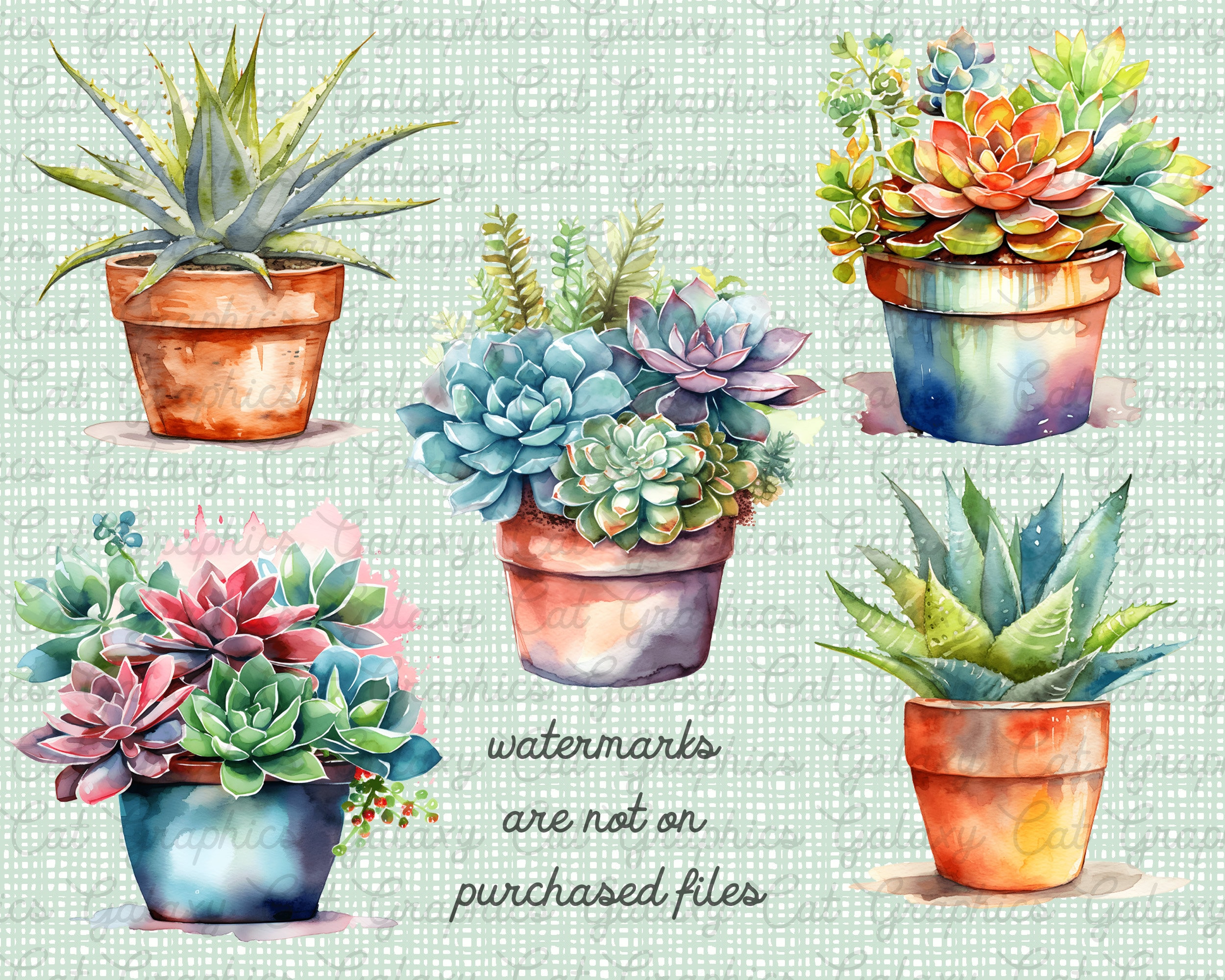 Succulents Clipart, Plants Clip Art, Digital Download, Succulent ...