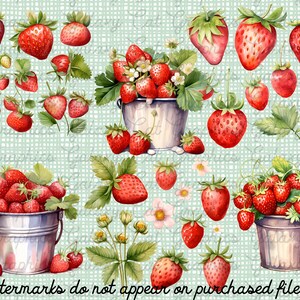 Strawberries Clipart, Fruit Clip Art, Digital Download, Strawberry Png ...
