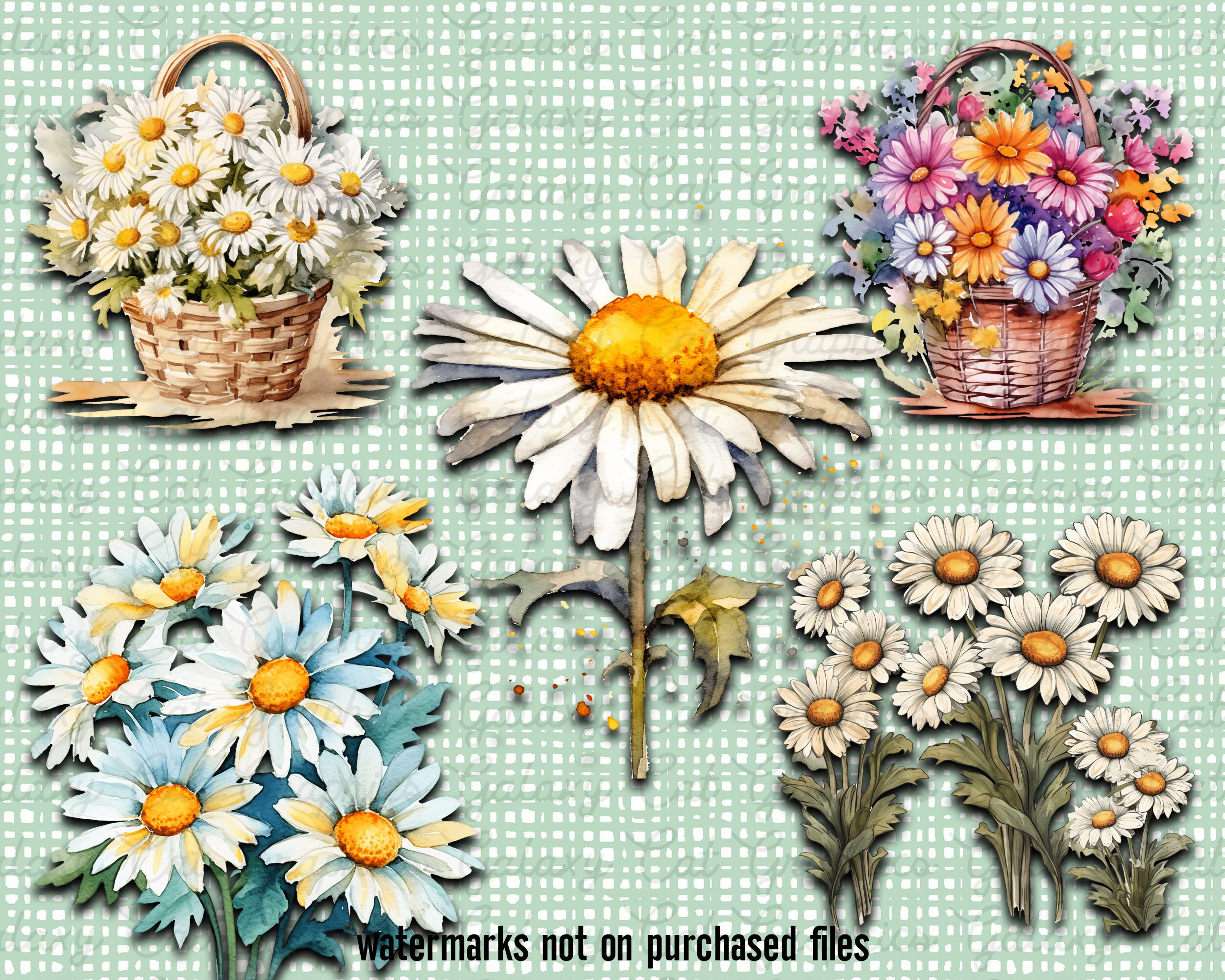Daisies Clipart, Daisy Clip Art, Floral Clipart Graphics, Flowers ...