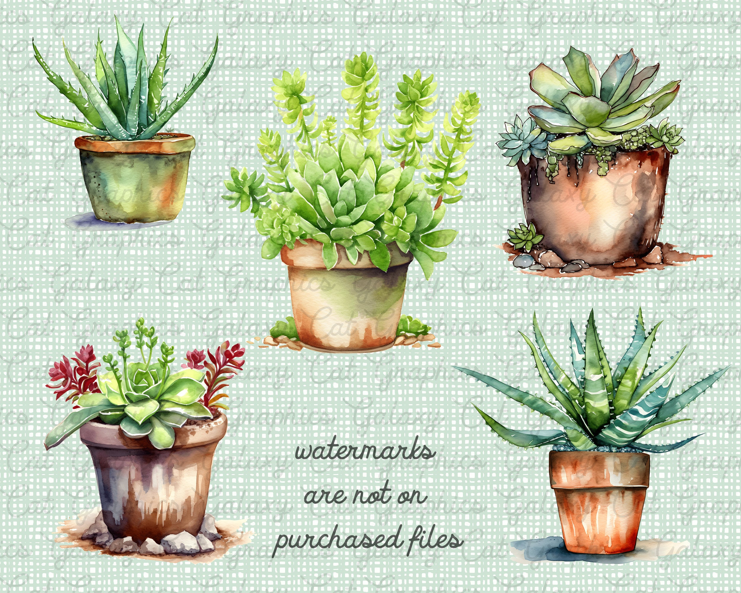 Succulents Clipart, Plants Clip Art, Digital Download, Succulent ...