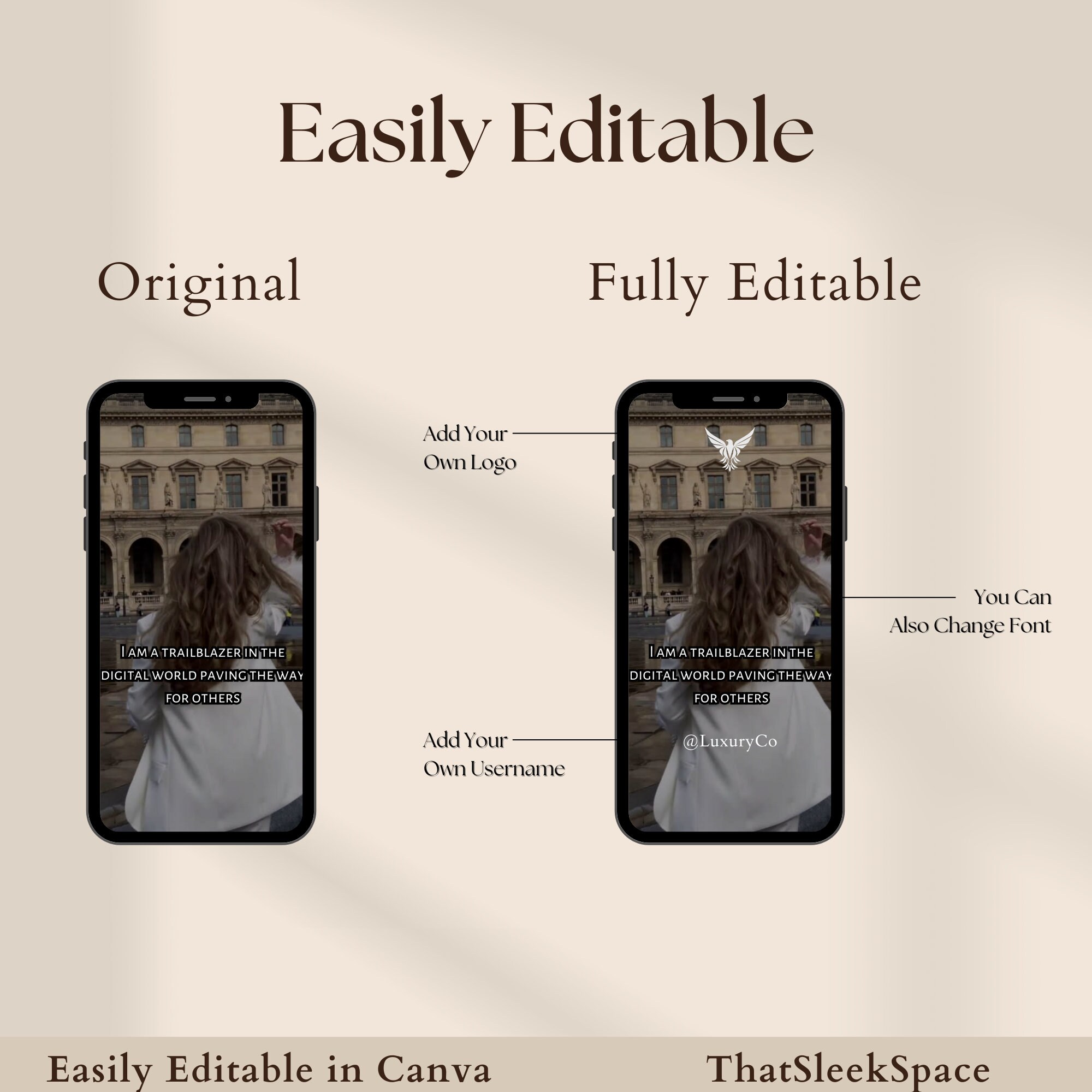 115 Faceless Digital Woman Entrepreneur Reels Bundle Instagram Tiktok ...