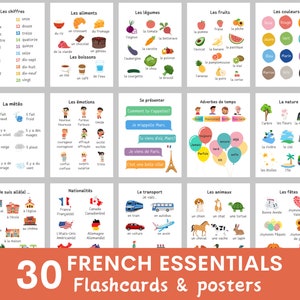 French Flashcards and Posters, French Language Learning, French ...