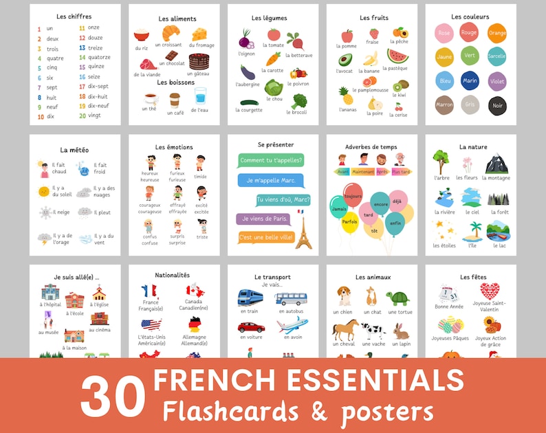 French Flashcards and Posters, French Language Learning, French ...