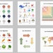 French Classroom Posters (30 Posters), French Classroom Decor, French ...