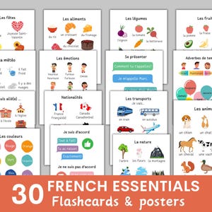 French Flashcards and Posters, French Language Learning, French ...