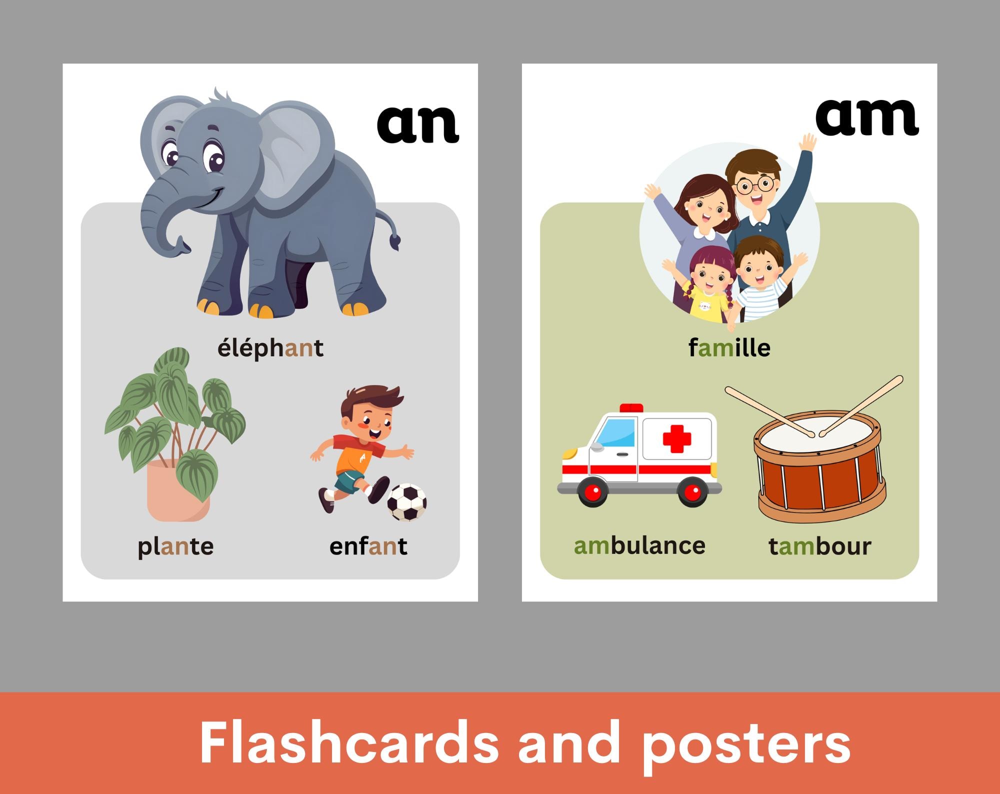 French Sounds Phonics Flashcards, French Classroom, French Phonetics ...