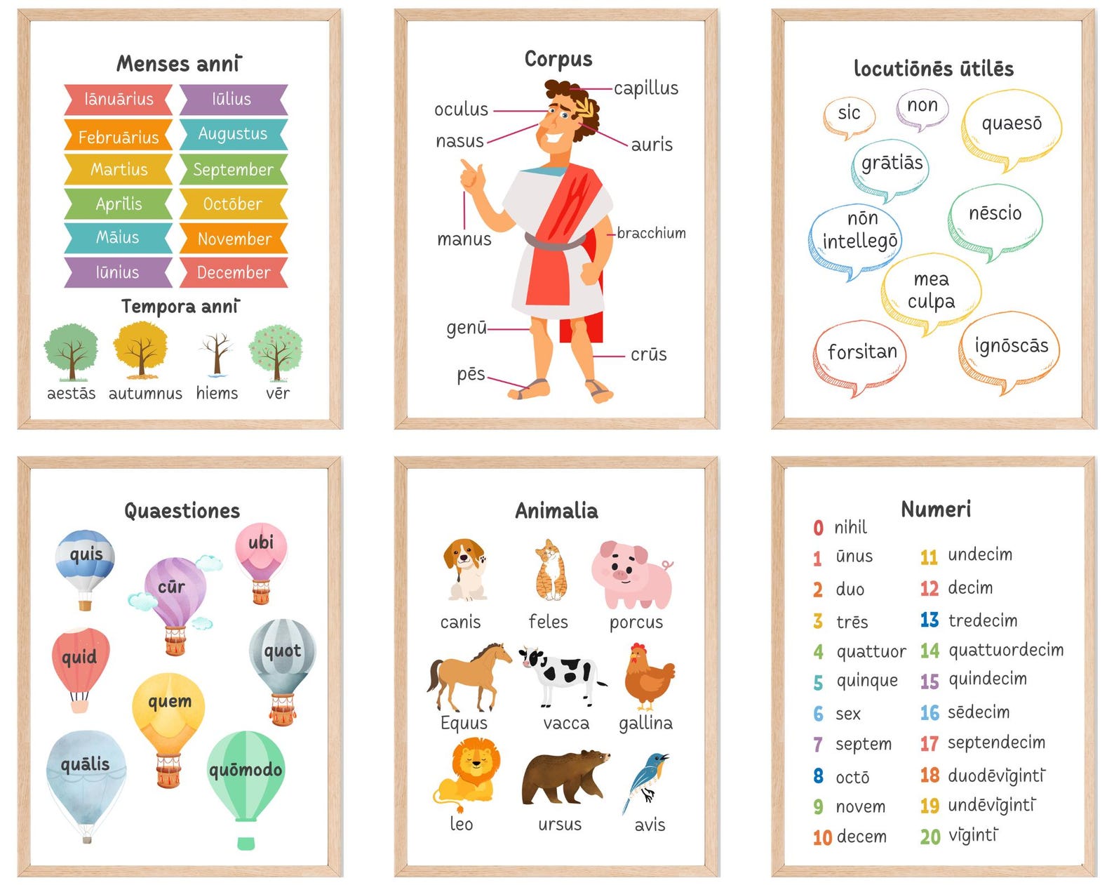 Latin Flashcards and Posters, Latin Language Learning, Latin Classroom ...