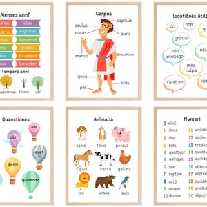 Latin Flashcards and Posters, Latin Language Learning, Latin Classroom ...