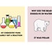 Set of 8 Funny Science Puns Posters, Chemistry Puns Posters, Science ...