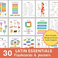 Latin Personal Pronouns Chart | Latin Grammar Classroom Poster ...