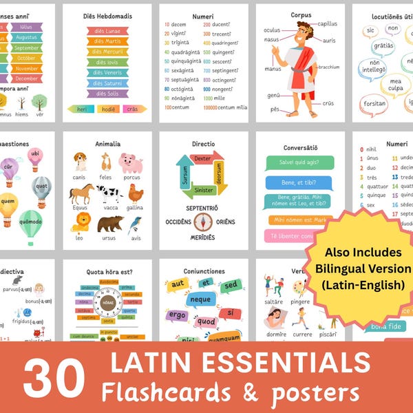 Latin Poster - Etsy