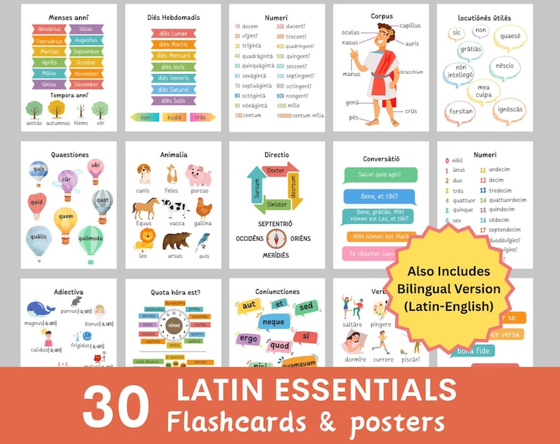 Latin Flashcards and Posters, Latin Language Learning, Latin Classroom ...