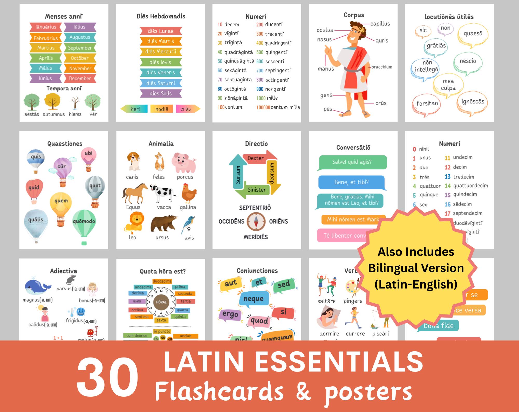 Latin Flashcards and Posters, Latin Language Learning, Latin Classroom ...