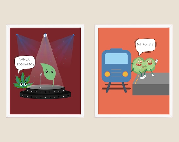 Funny Science Jokes For Teachers