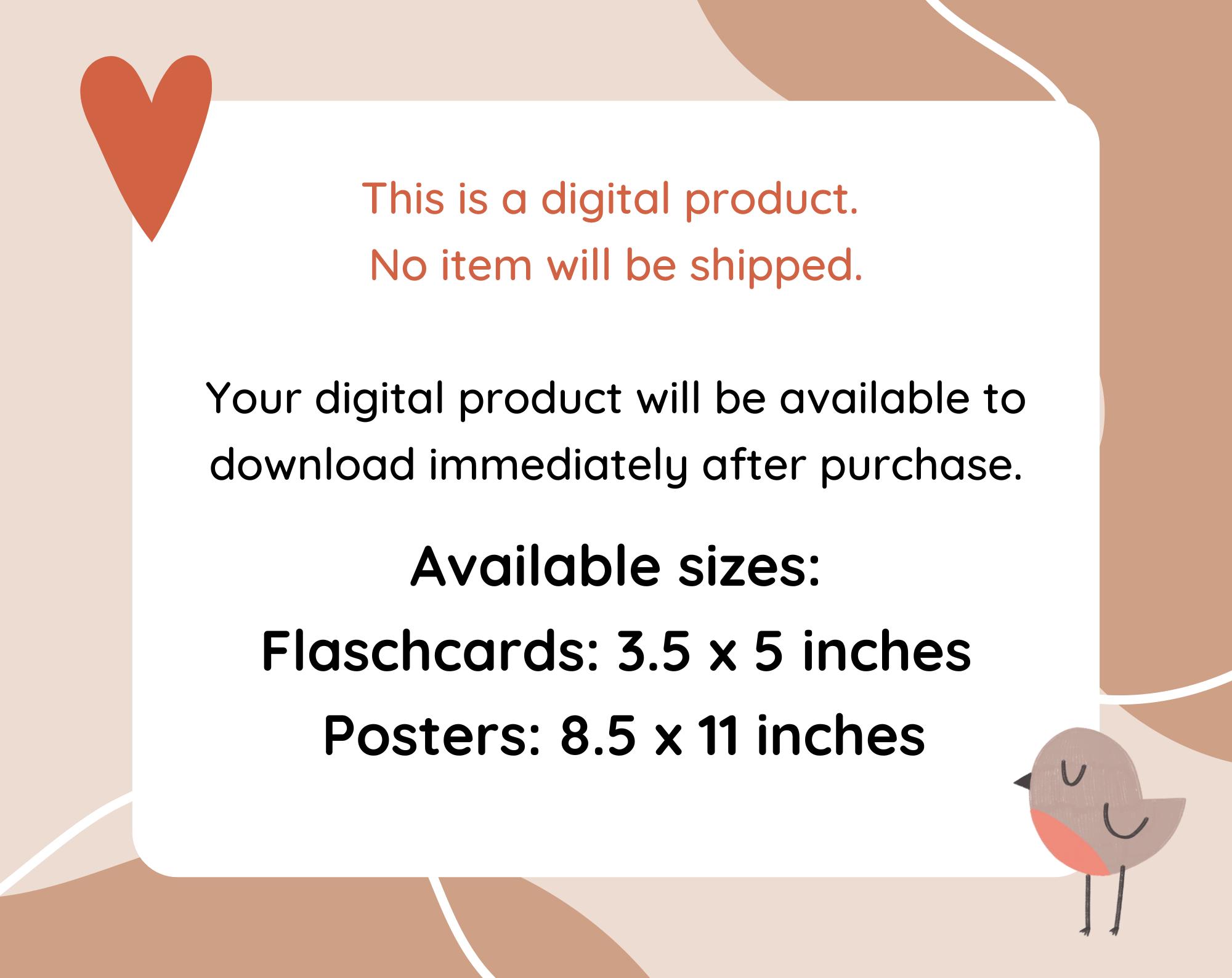 French Sounds Phonics Flashcards, French Classroom, French Phonetics ...