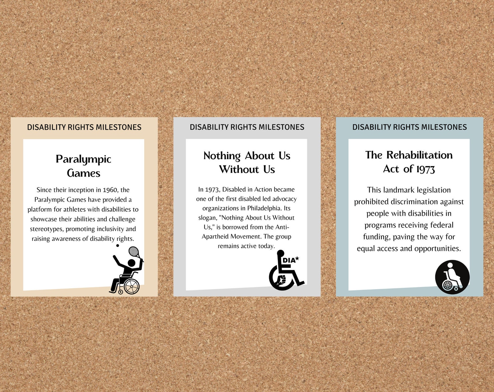 Disability Rights Milestones History Posters, Disability Awareness ...