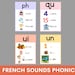 French Sounds Phonics Flashcards, French Classroom (70+ Flashcards ...