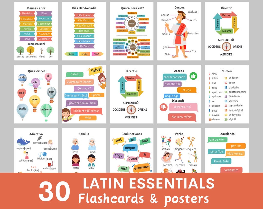 Latin Flashcards and Posters, Latin Language Learning, Latin Classroom ...