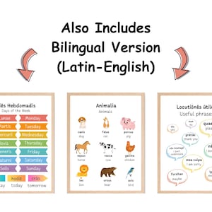 Latin Flashcards and Posters, Latin Language Learning, Latin Classroom ...