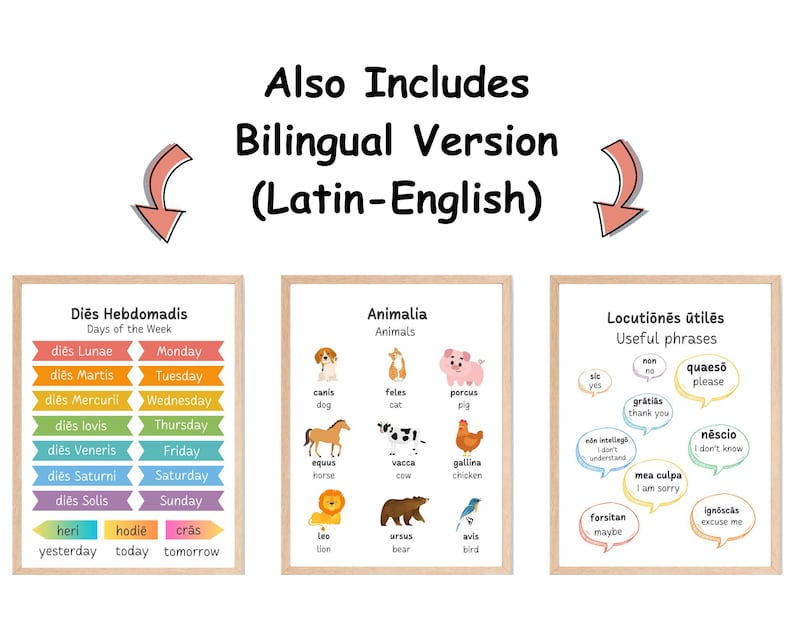 Latin Flashcards and Posters, Latin Language Learning, Latin Classroom ...