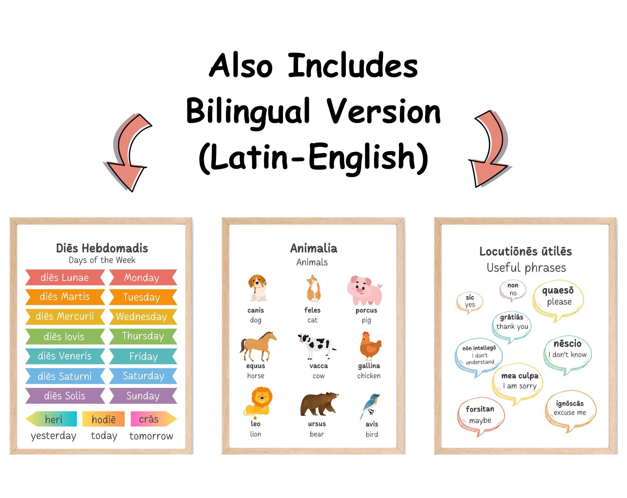 Latin Flashcards and Posters, Latin Language Learning, Latin Classroom ...