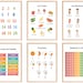French Classroom Posters (30 Posters), French Classroom Decor, Bright ...